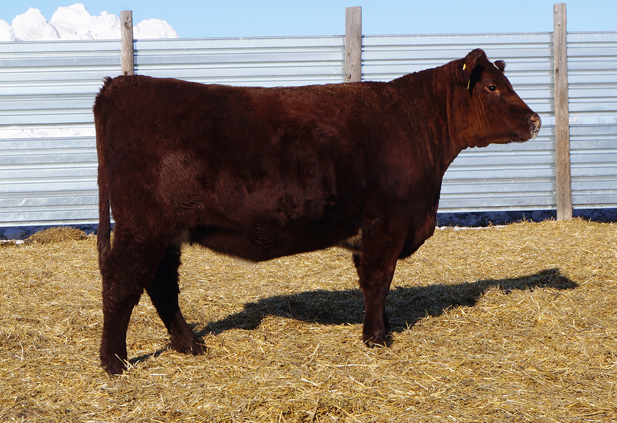 GALBREATH * FARMS * SALE